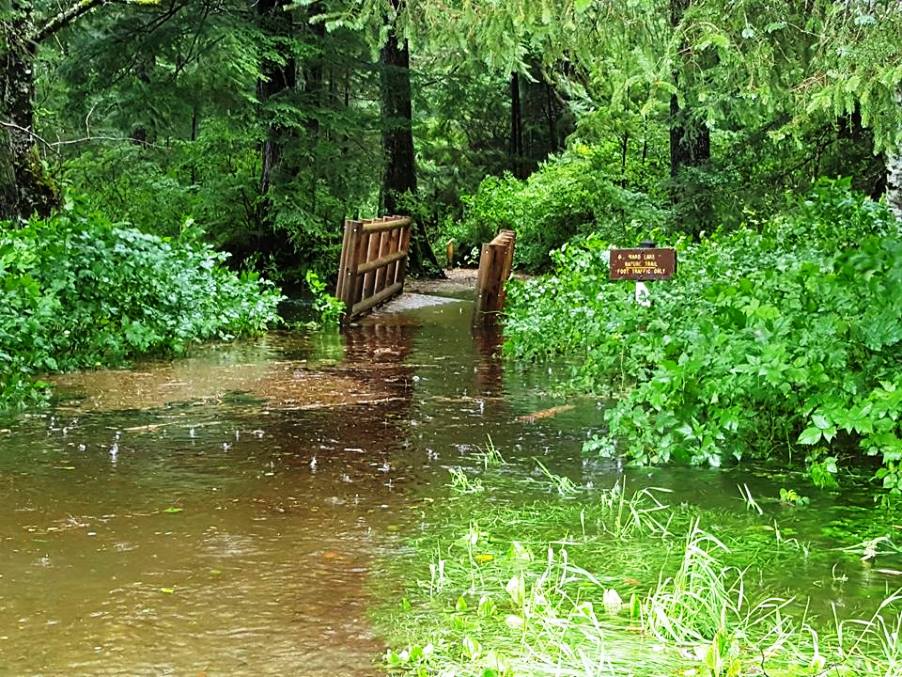 Lots of rain causes flooding in Ketchikan, some damage - KRBD