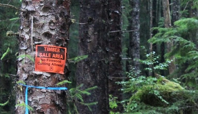 Forest Service holds subsistence hearing for proposed Prince of Wales ...