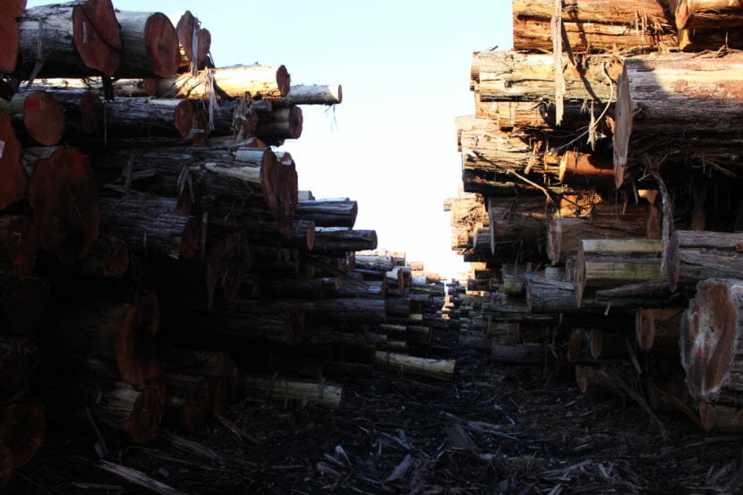 Tongass in Transition: Viking Lumber's uncertain future - KRBD