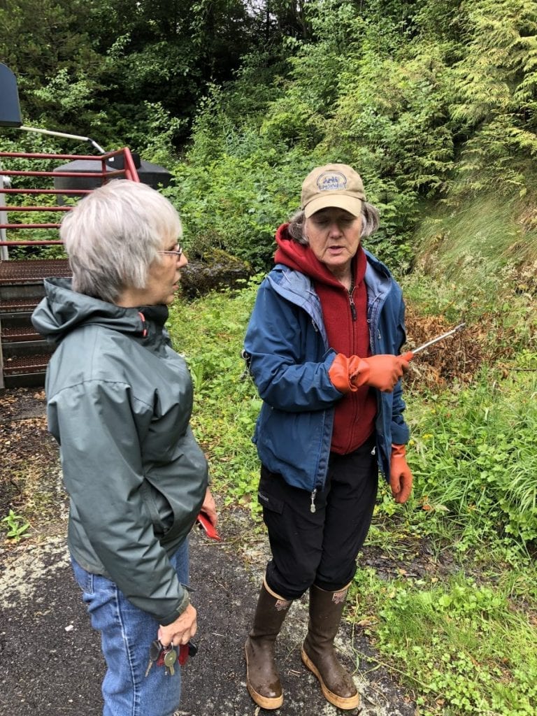 Why invasive species are on the rise in Southeast - KRBD