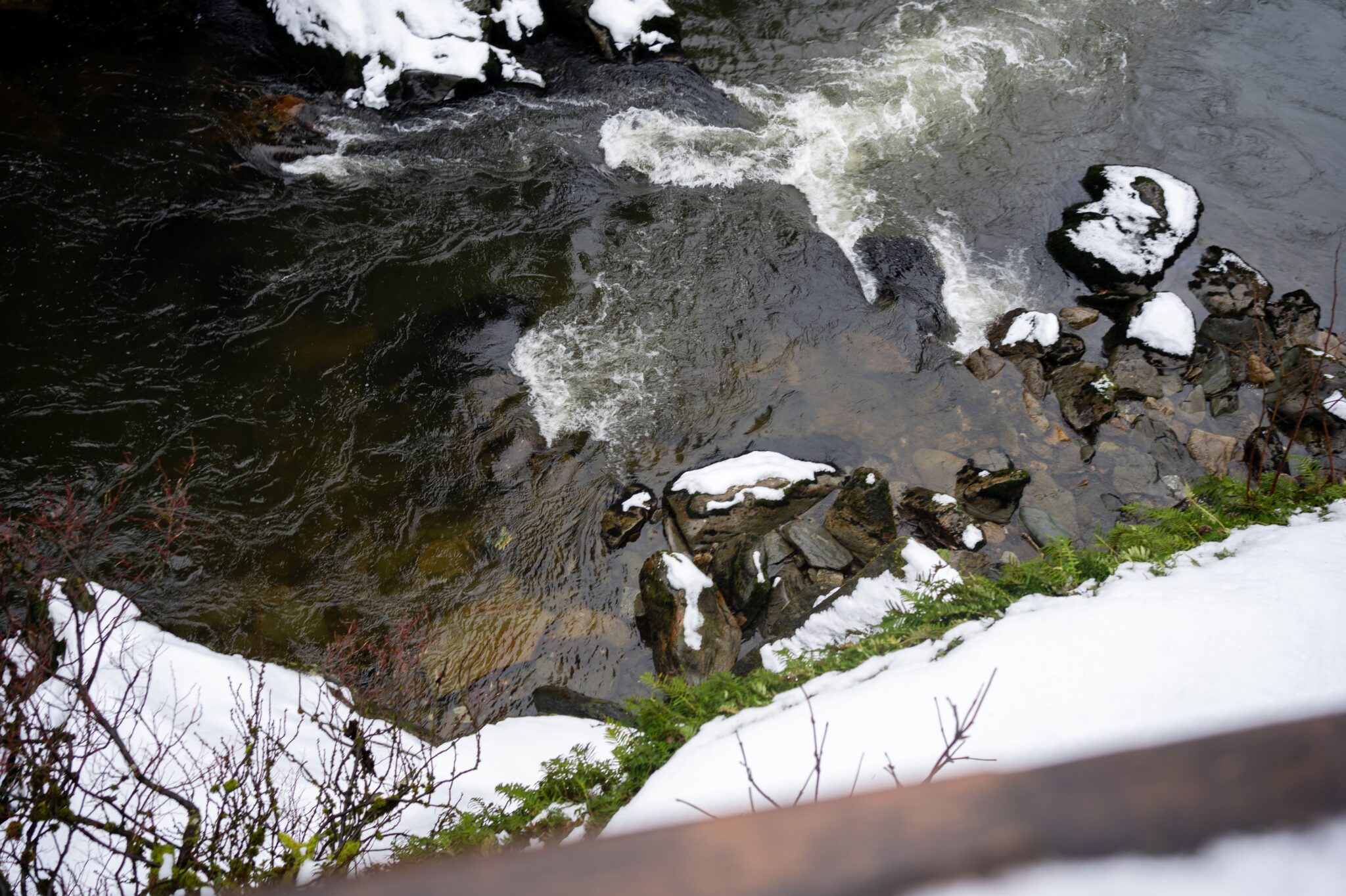 Ketchikan resident survives fall from cliff - KRBD