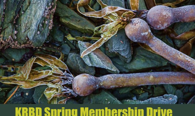 KRBD - Community Radio for Southern Southeast Alaska