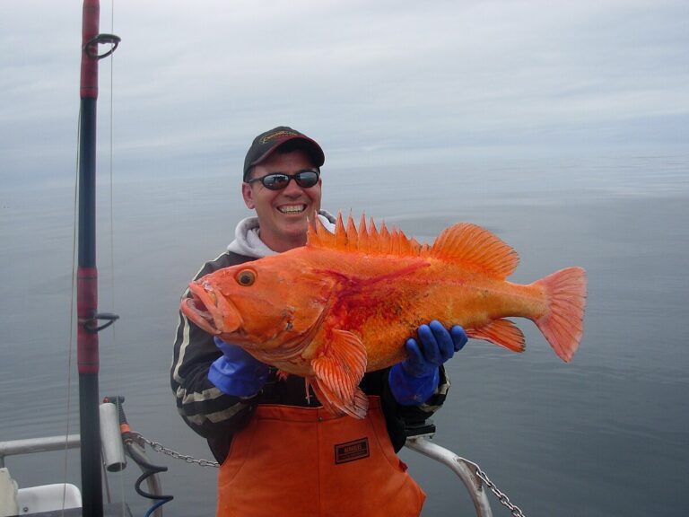 Southeast Alaskans can fish for yelloweye rockfish again - KRBD