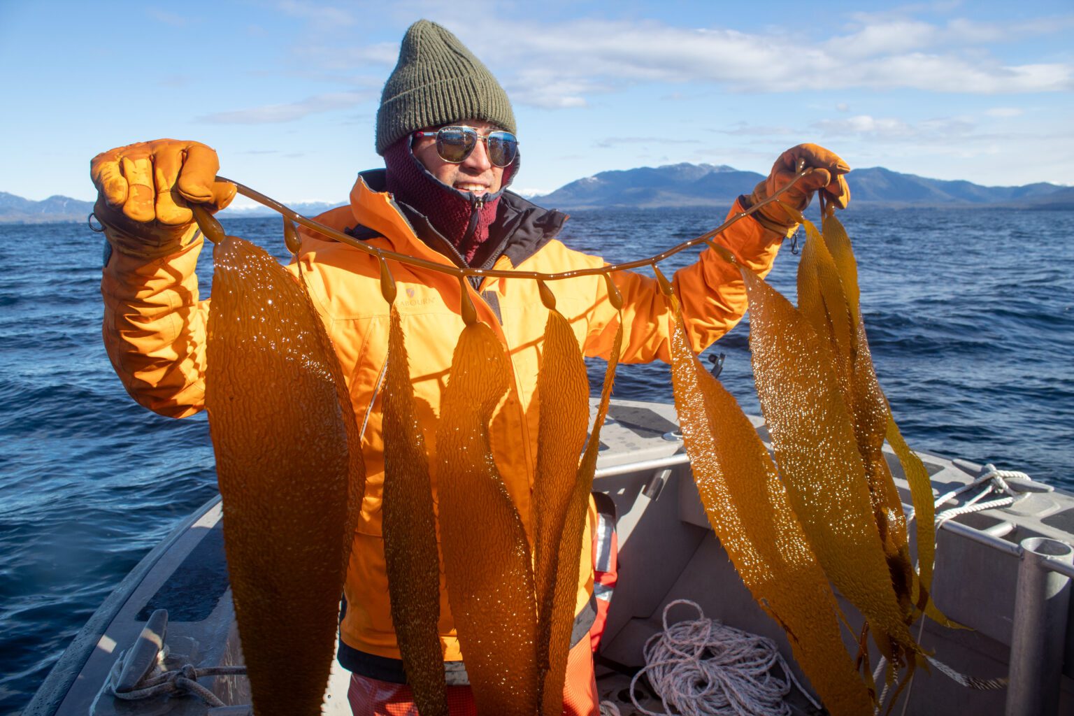 New Ketchikan company aims to kick-start Alaska kelp industry - KRBD