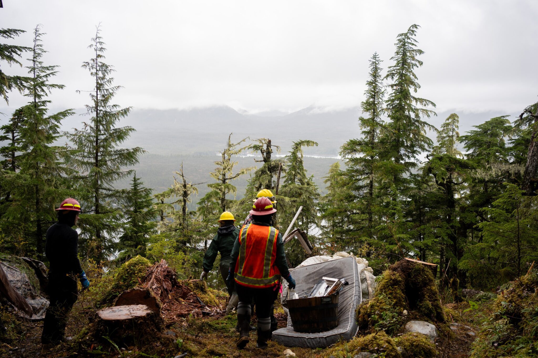 USDA says it will reinstate all fired probationary employees - KRBD