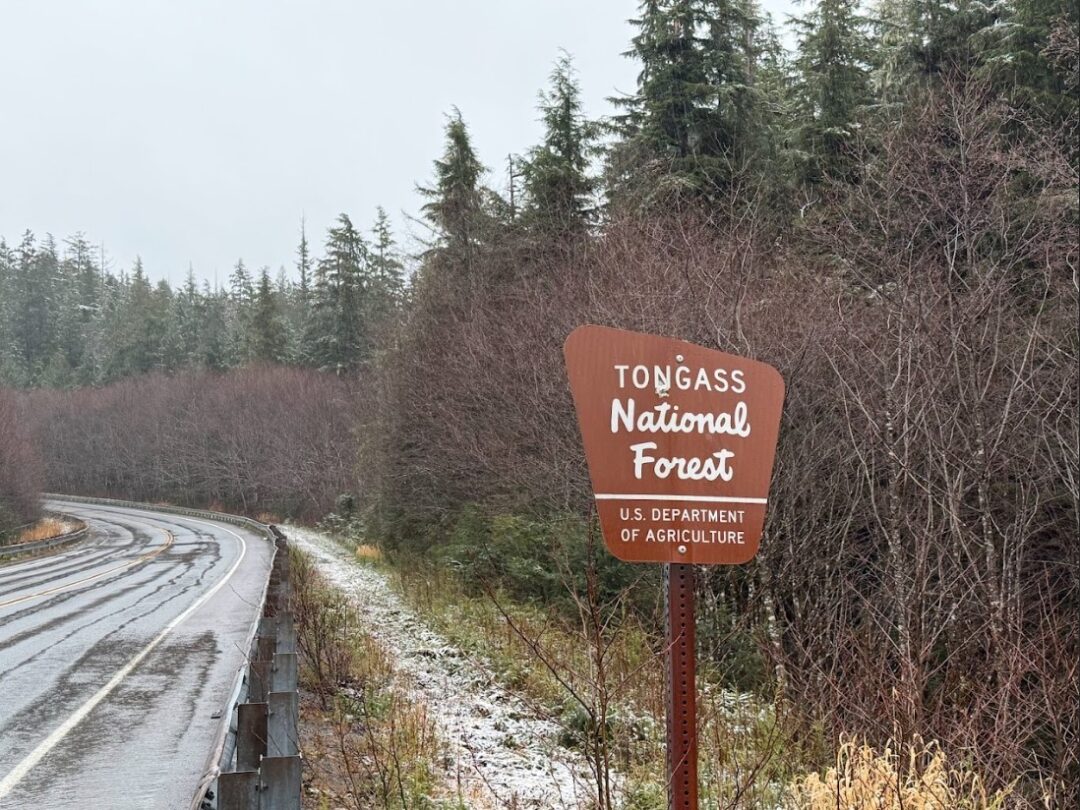 Forest Service invites local input on Tongass plan revision - KRBD